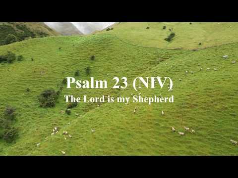Psalm 23 (NIV) - The Lord is my Shepherd