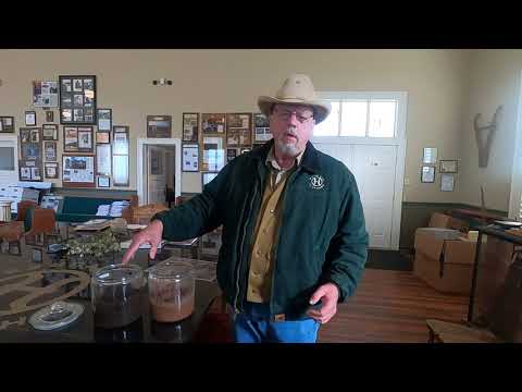 Regenerative Soil vs Traditional Soil
