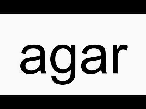How to pronounce agar