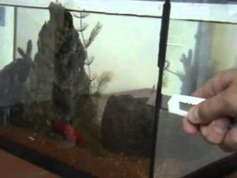 ORCA UNDERWATER GLUE INSURANCE FOR YOUR TANK