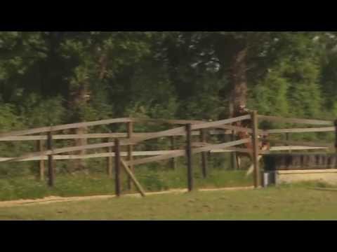 Lot 12 - Nova de Teillee