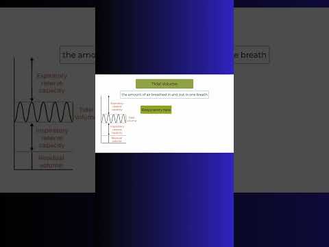 What is RESPIRATORY RATE?! TIDAL VOLUME? #lungs #pulmonary #physiology #breathing #gasexchange