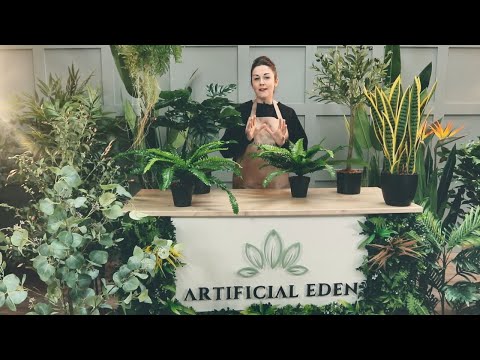 Artificial Plants Faux Indoor Plants - Artificial Eden®