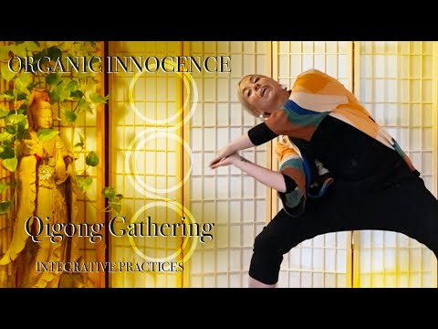 Organic Innocence – Qigong Gathering