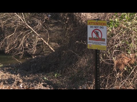 Harvard researchers say they found direct link between Coldwater Creek and cancer rates