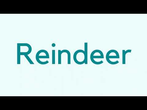 How to pronounce "Reindeer"?