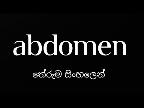 abdomen - meaning in sinhala