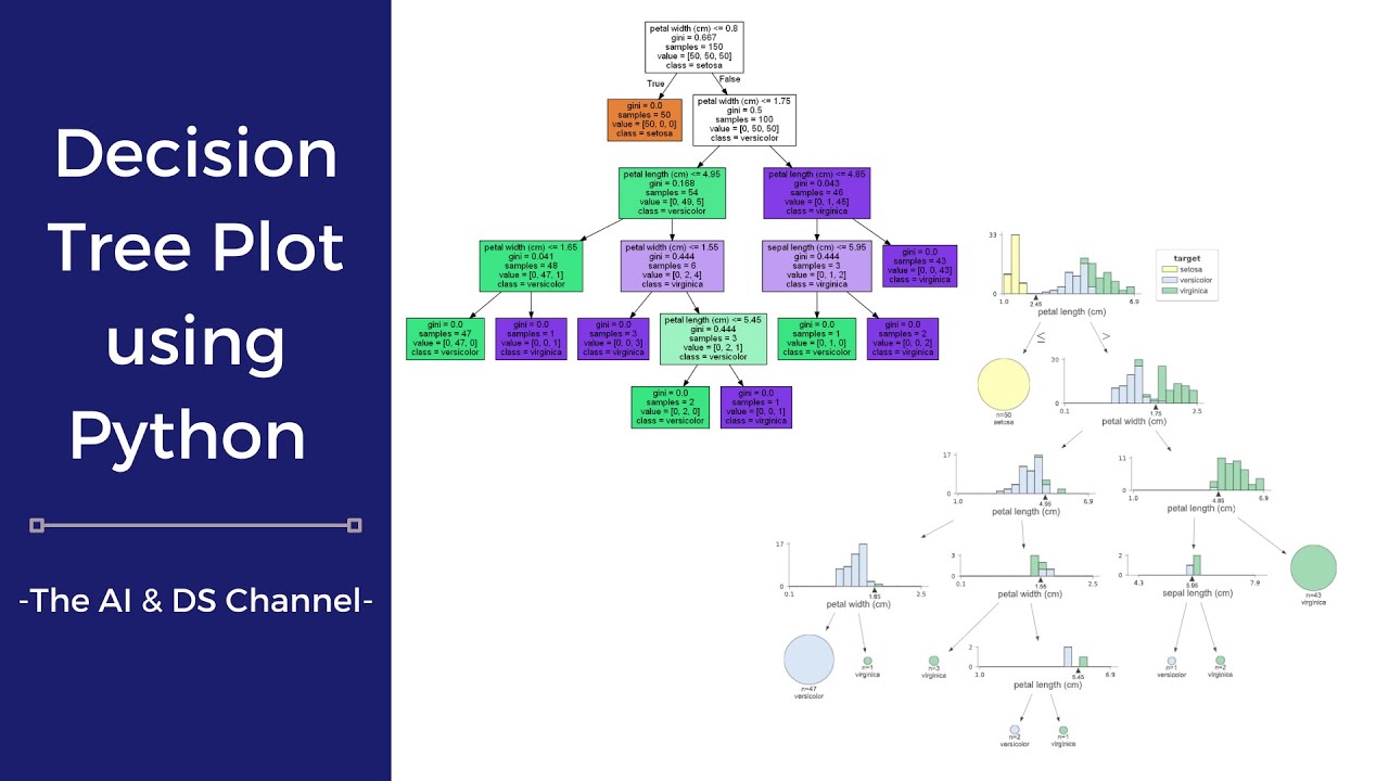 Decision Tree Plot Tutorial using python | Decision Tree Tutorial