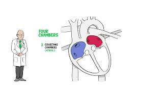 Heart Center | Children's Healthcare of Atlanta