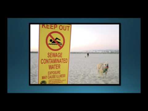 Effects of Water Pollution: Are there Any?