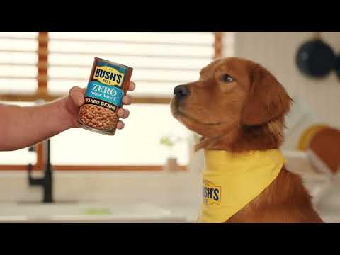 Words For Zero :15 | Bush's Beans