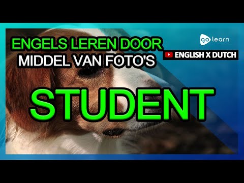 Engels Leren Door Middel Van Foto's |Engels woordenschat Student | Golearn