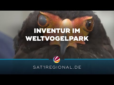 Inventur im Weltvogelpark Walsrode