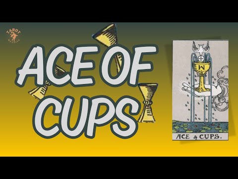 Ace of Cups Tarot Card Meaning General, Love, and Career Insights | Learning Tarot