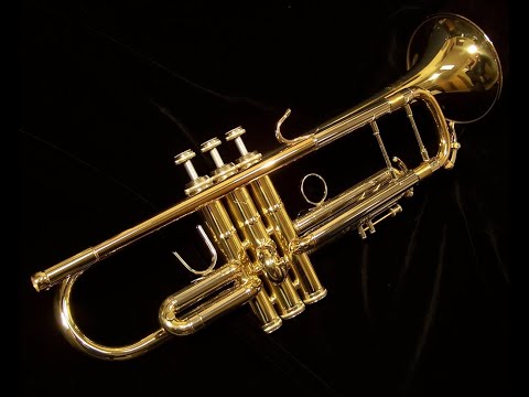 Steam Community :: Video :: B&S 20 Minute Zweihander Murder Spree