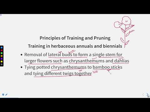 Horticulture Principle of Training and Pruning Part 1 #SATHEE_AGRI #swayamprabha #icar