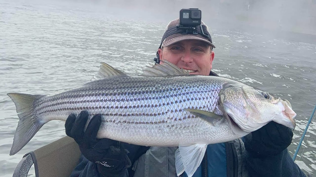 Catching Striped Bass and Trout at Wolf Creek Dam below Lake Cumberland!