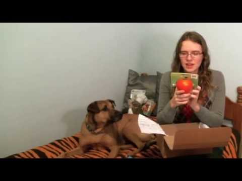 BarkBox Promo Code and Review! - November