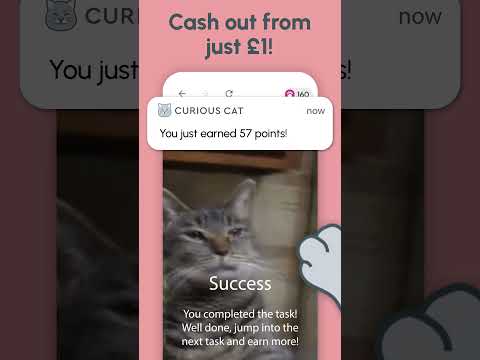 Curious Cat App: Paid Surveys