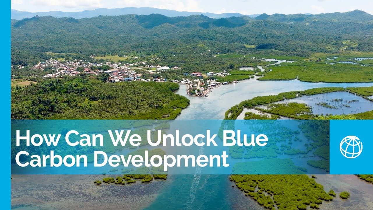 How Can We Unlock Blue Carbon Development