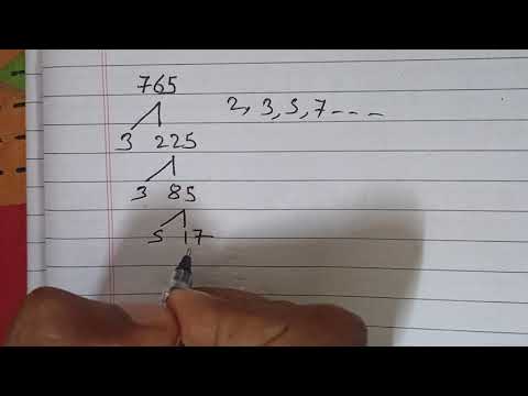 factor tree of 765 | prime factor tree |