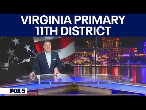 Dems line up for Saturday's 11th district primary in Va.