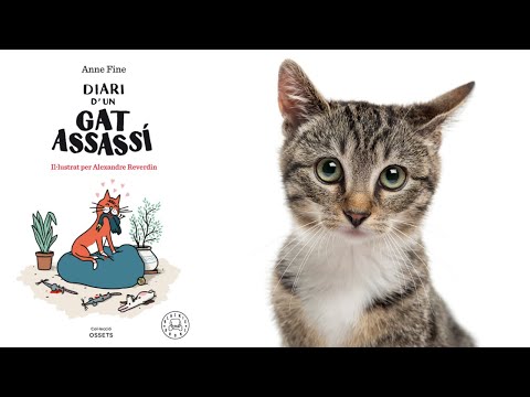 Diari d'un gat assassí