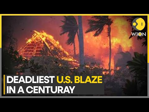 Maui wildfires among the deadliest in US history | WION Climate Tracker