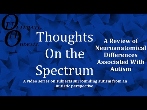 A Review of Neuroanatomical Differences Associated With Autism