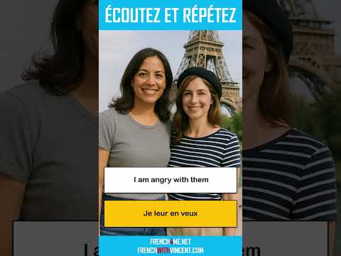 Say It In French I I am angry with them