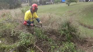 Best Whipper Snippers and Edgers in 2026 as reviewed by Australian ...