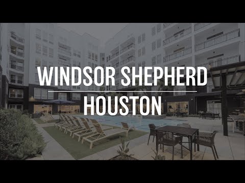 WINDSOR SHEPHERD - APARTMENT TOUR