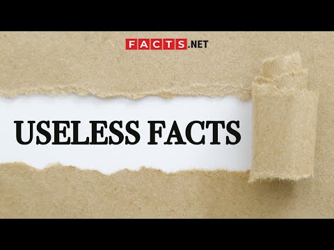 Useless Facts For You To Learn A Thing Or Two
