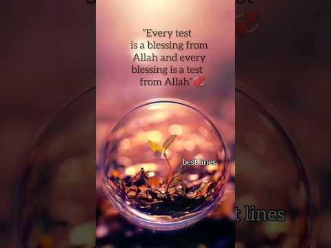 Allah quotes✨| English status | Islamic poetry #shorts #motivation #viral