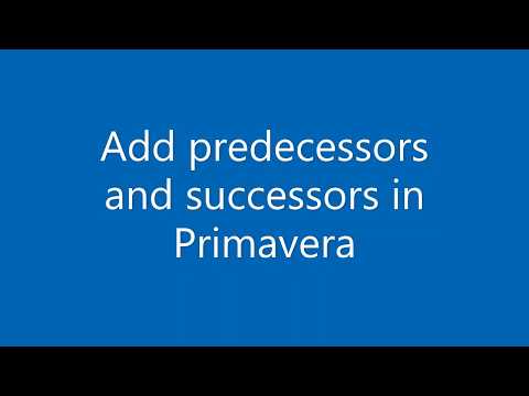 Primavera P6 003 Add predecessors and successors