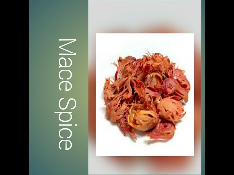 Surprising Benefits of Mace | Mace Spice | Spice and Herbs |Aids in Digestion Kindly Like Subscribe