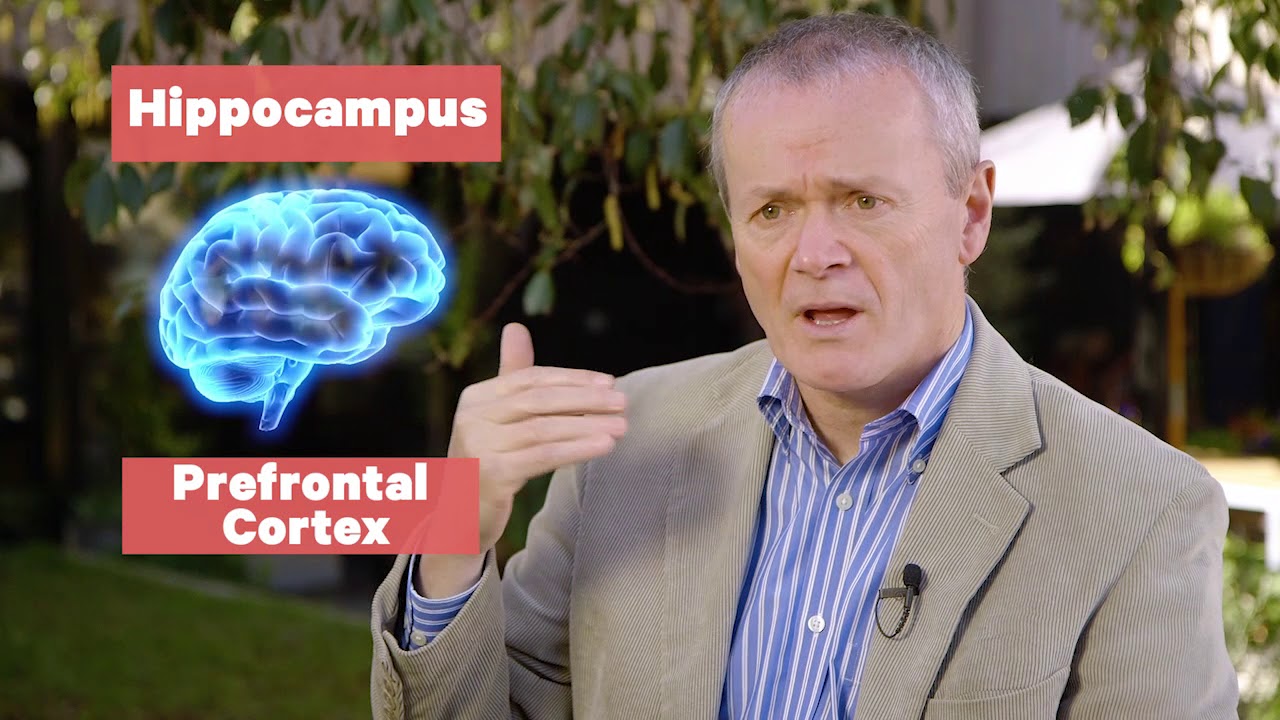 Associate Professor Dr Craig Hassed | Science of Mindfulness | Smiling Mind