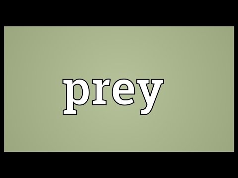 Prey Meaning