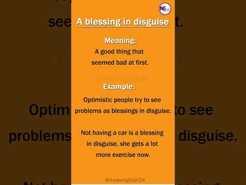 A Blessing in Disguise (idioms)