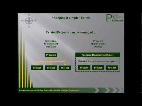 PMO Essentials Part 2 - Defining Program and Program Management