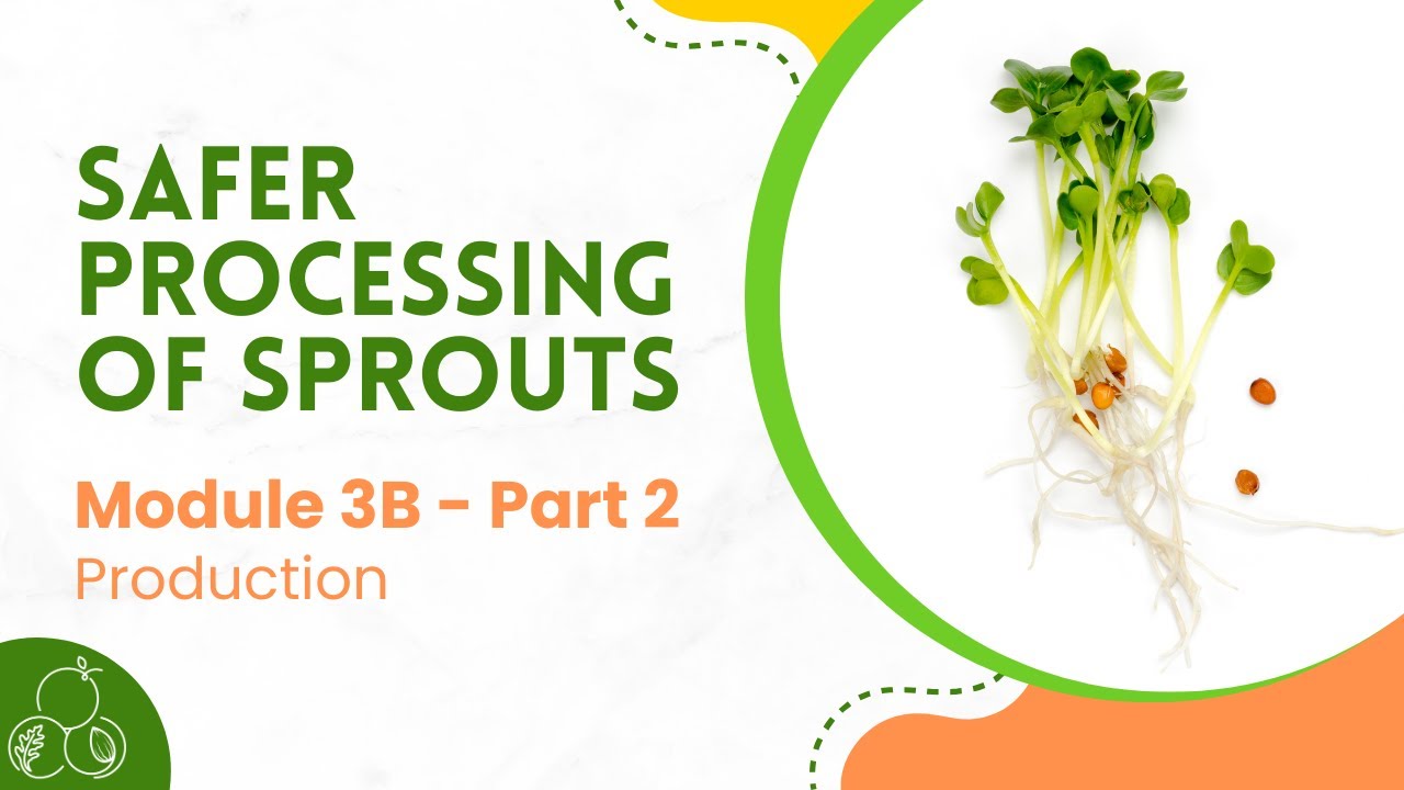 Sprouts: Module 3B | Sprout Production | Part 2