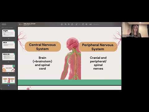 Neurology and the Role of the Speech Language Pathologist