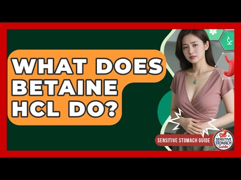 What Does Betaine HCL Do? - Sensitive Stomach Guide