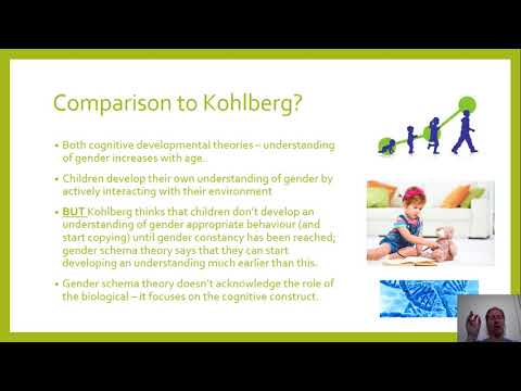 Gender schema theory