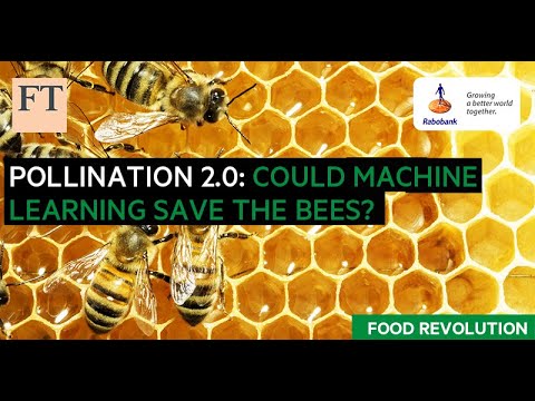 Pollination 2.0: Could machine learning save the bees? | FT Food Revolution