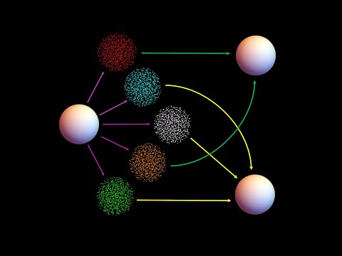 The Most Ridiculous (& True) Theorem in Mathematics: The Banach-Tarski Paradox