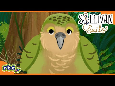 Learn About the Kakapo, a Bird Who Cannot Fly?! 🦜 | Sullivan Sails |​ @RTÉjrOfficial​