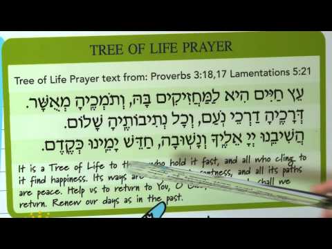 Tu B' Shevat