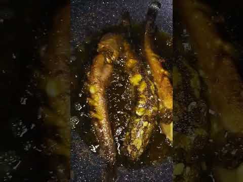 lele goreng #goreng #dadakan #enak #cara #masak #sambel #masakanrumahan