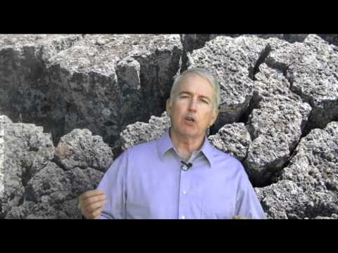 Sensitivity Training for Activities Part 1